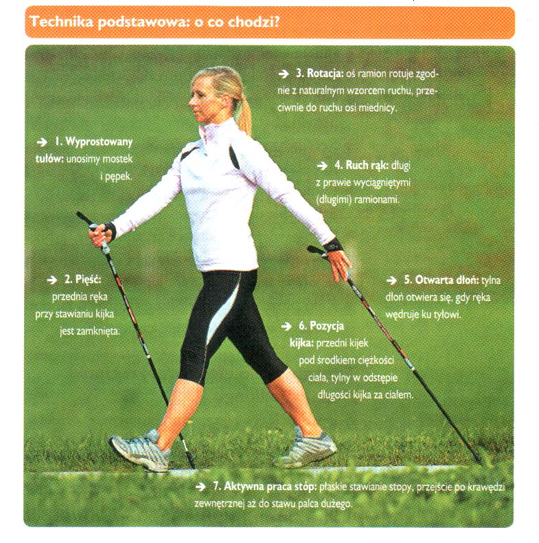 Nordic Walking, fakty i mity – Pruszków Mówi – Obywatelski Portal ... Nordic Walking, fakty i mity – Pruszków Mówi – Obywatelski Portal ...